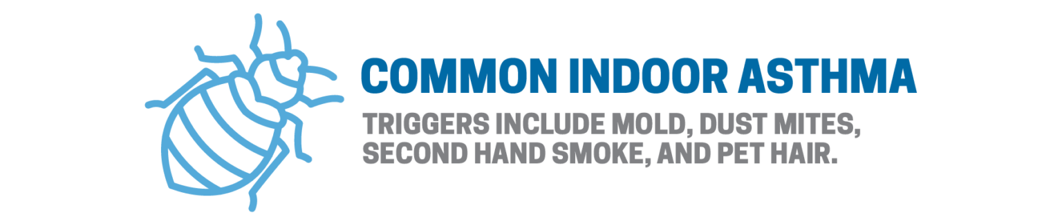 CO2 Explained - Indoor Air Hygiene Institute